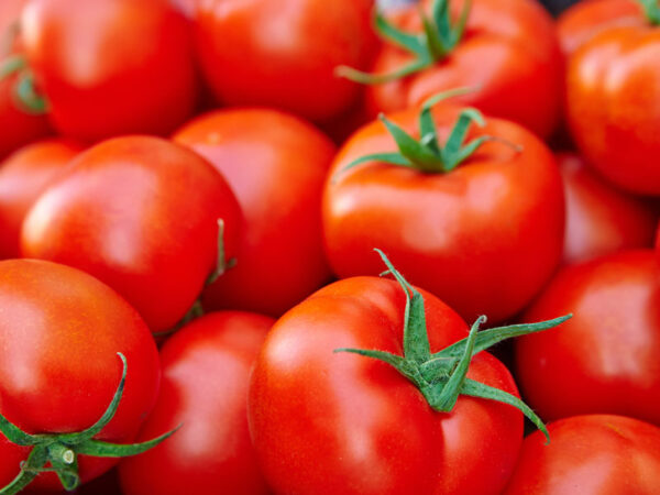 Crop Report – FLAVOR 1st