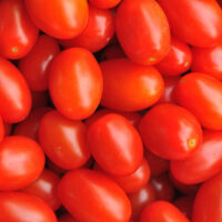 FLAVOR 1st – Growing and packing wholesale produce for 8 generations.
