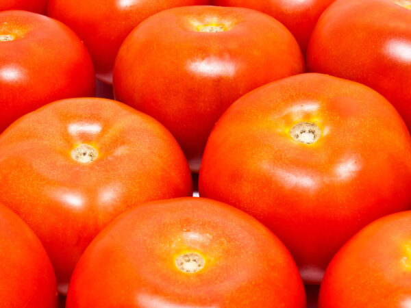 Products – FLAVOR 1st